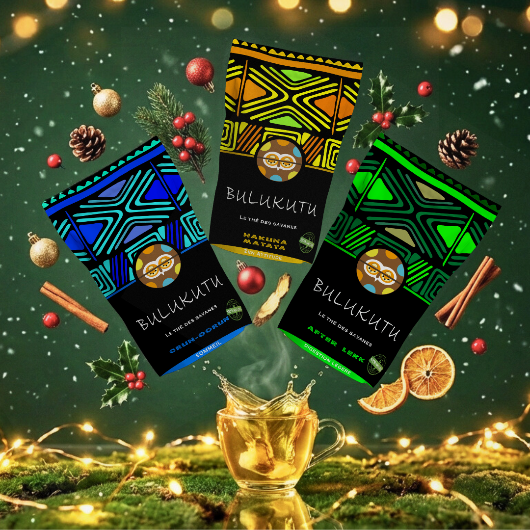 Pack Fêtes- Enchantement et decouverte – My Bulukutu